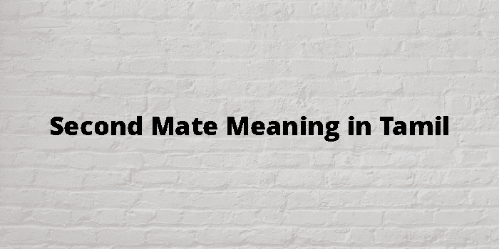 Second Mate Meaning In Tamil - தமிழ் அர்த்தம்