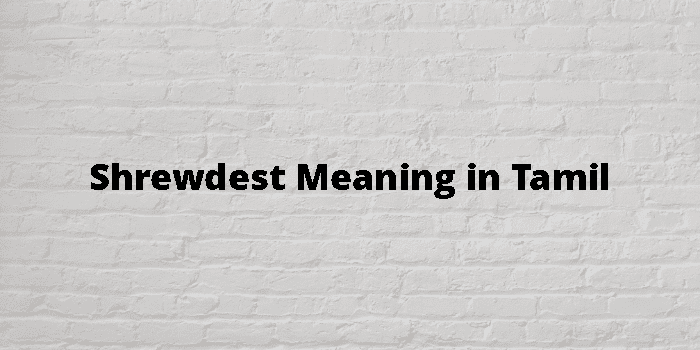 Shrewdest Meaning In Tamil - தமிழ் அர்த்தம்