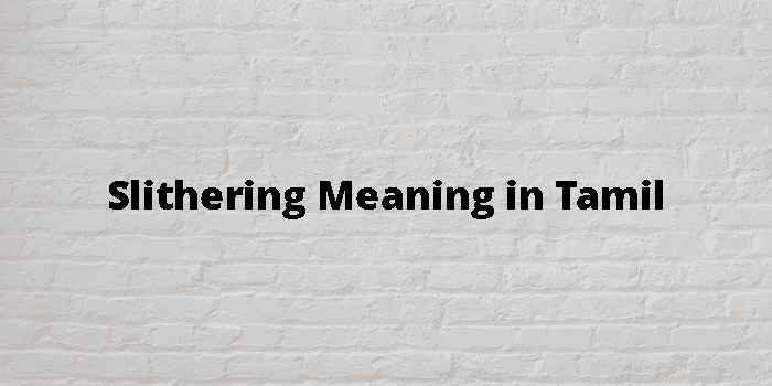 Slithering Meaning In Tamil - தமிழ் அர்த்தம்