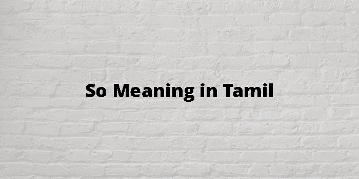 So Meaning In Tamil - தமிழ் அர்த்தம்