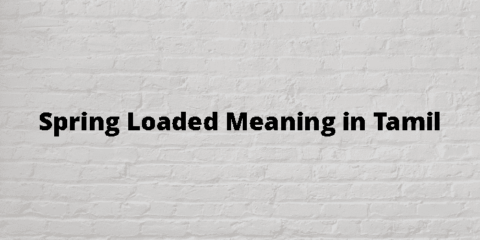 Spring Loaded Meaning In Tamil - தமிழ் அர்த்தம்