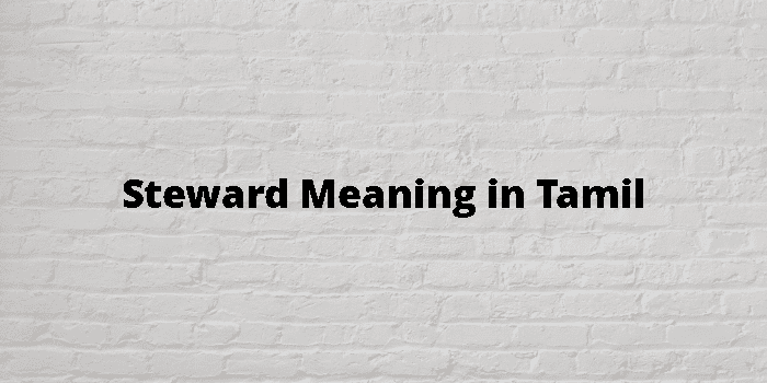 Steward Meaning In Tamil - தமிழ் அர்த்தம்