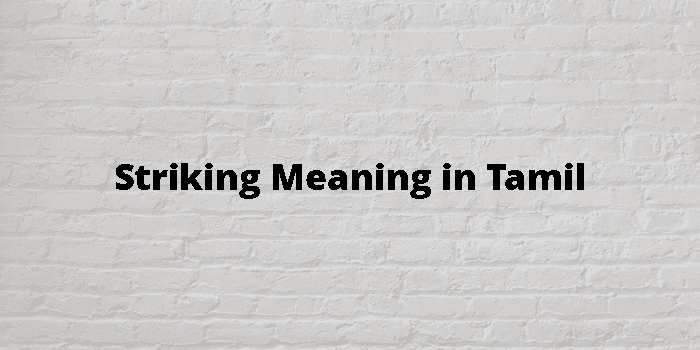 Striking Meaning In Tamil - தமிழ் அர்த்தம்