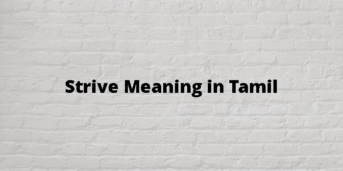 Strive Meaning In Tamil - தமிழ் அர்த்தம்