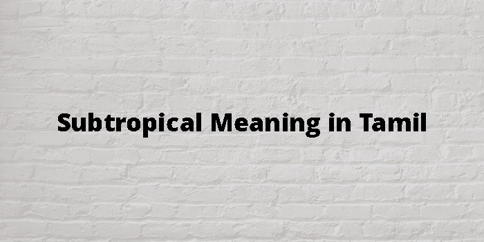 Subtropical Meaning In Tamil - தமிழ் அர்த்தம்