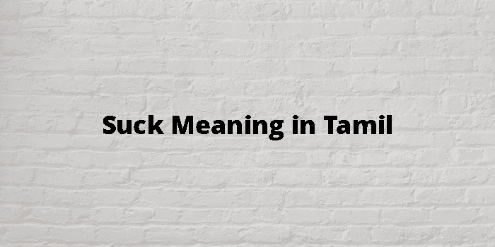 Suck Meaning In Tamil - தமிழ் அர்த்தம்