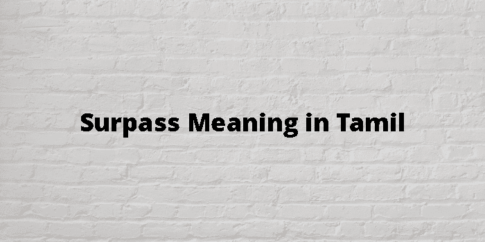Surpass Meaning In Tamil - தமிழ் அர்த்தம்