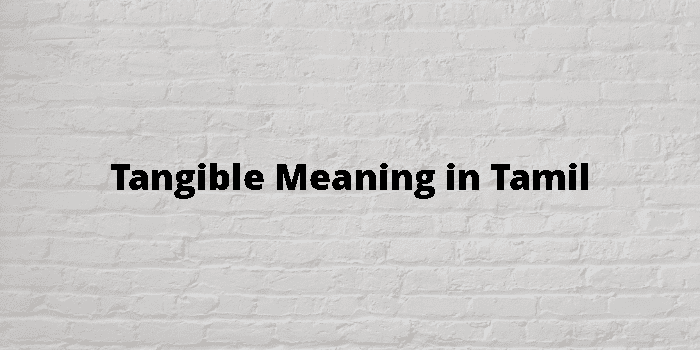 Tangible Meaning In Tamil - தமிழ் அர்த்தம்