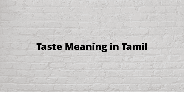 Taste Meaning In Tamil - தமிழ் அர்த்தம்