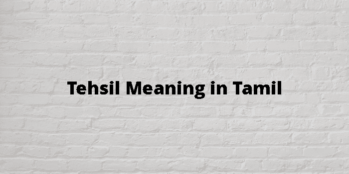 Tehsil Meaning In Tamil - தமிழ் அர்த்தம்