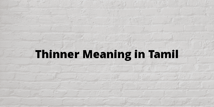 Thinner Meaning In Tamil - தமிழ் அர்த்தம்