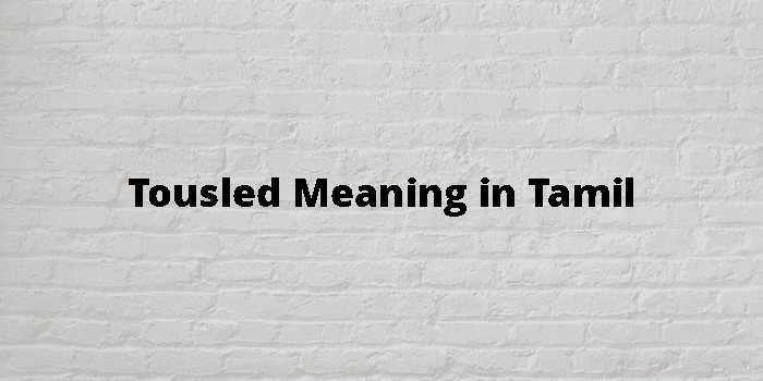Tousled Meaning In Tamil - தமிழ் அர்த்தம்