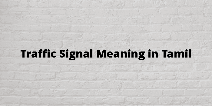 Traffic Signal Meaning In Tamil - தமிழ் அர்த்தம்
