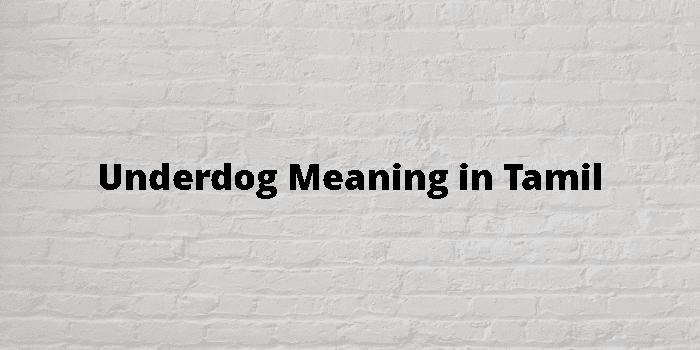 Underdog Meaning In Tamil - தமிழ் அர்த்தம்