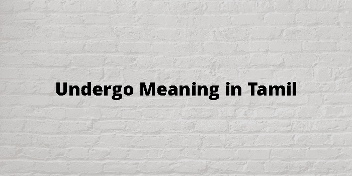 Undergo Meaning In Tamil - தமிழ் அர்த்தம்