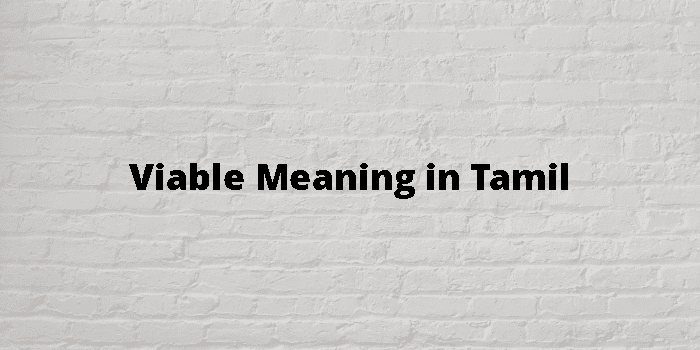 Viable Meaning In Tamil - தமிழ் அர்த்தம்