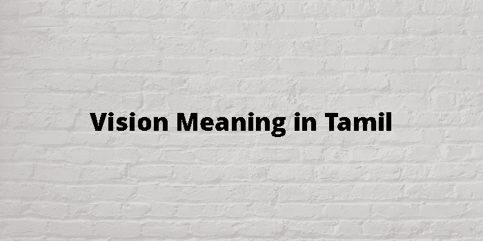 Vision Meaning In Tamil - தமிழ் அர்த்தம்