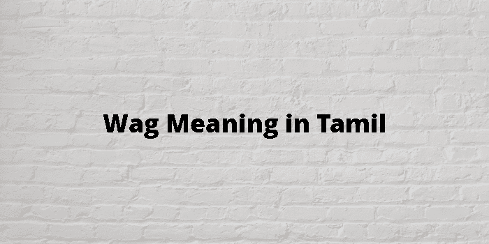Wag Meaning In Tamil - தமிழ் அர்த்தம்
