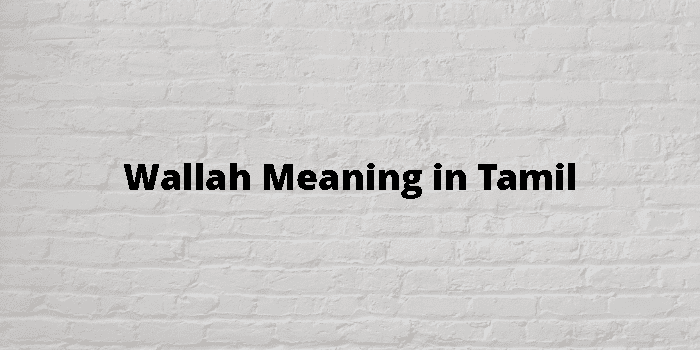 Wallah Meaning In Tamil - தமிழ் அர்த்தம்