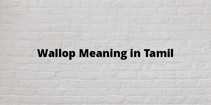 Wallop Meaning In Tamil - தமிழ் அர்த்தம்