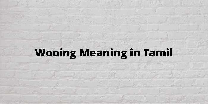 Wooing Meaning In Tamil - தமிழ் அர்த்தம்