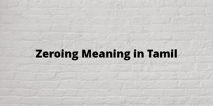 Zeroing Meaning In Tamil - தமிழ் அர்த்தம்