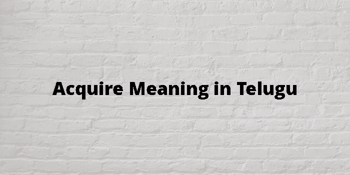 Acquire Meaning In Telugu - తెలుగు అర్థం