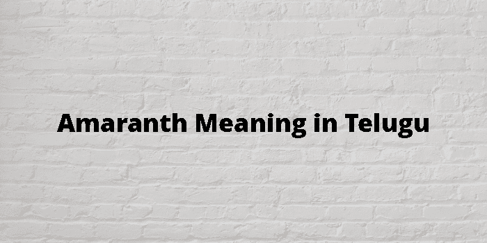 Amaranth Meaning In Telugu - తెలుగు అర్థం