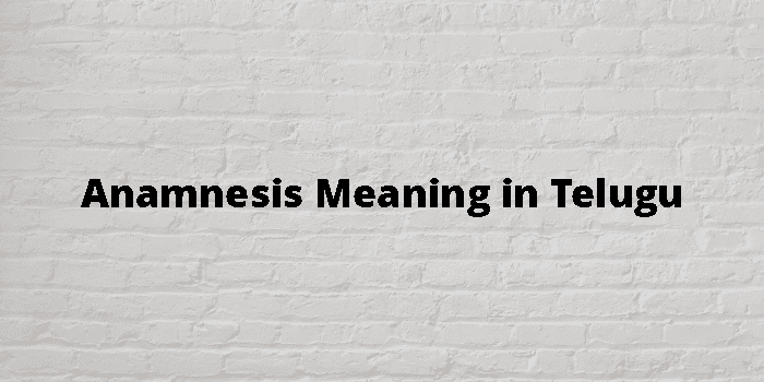 Anamnesis Meaning In Telugu - తెలుగు అర్థం
