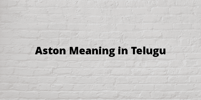 Aston Meaning In Telugu - తెలుగు అర్థం