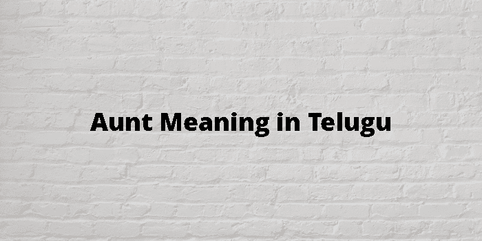 Aunt Meaning In Telugu - తెలుగు అర్థం