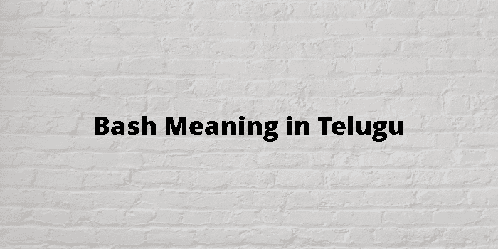 Bash Meaning In Telugu - తెలుగు అర్థం