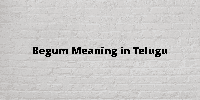 Begum Meaning In Telugu - తెలుగు అర్థం
