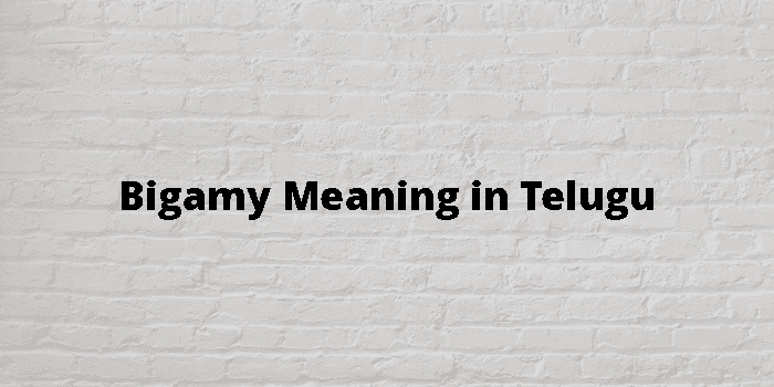 Bigamy Meaning In Telugu - తెలుగు అర్థం