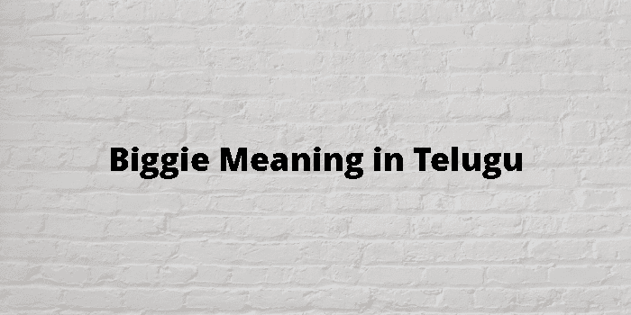 Biggie Meaning In Telugu - తెలుగు అర్థం