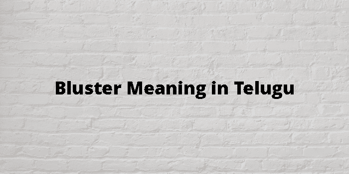 Bluster Meaning In Telugu - తెలుగు అర్థం