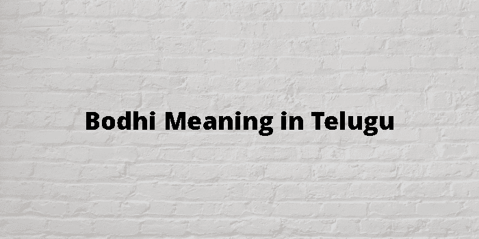 Bodhi Meaning In Telugu - తెలుగు అర్థం