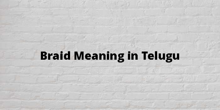 Braid Meaning In Telugu - తెలుగు అర్థం