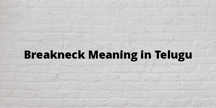 Breakneck Meaning In Telugu - తెలుగు అర్థం