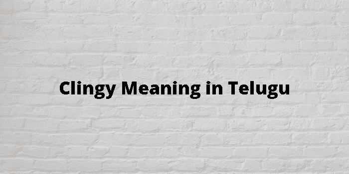 Clingy Meaning In Telugu - తెలుగు అర్థం