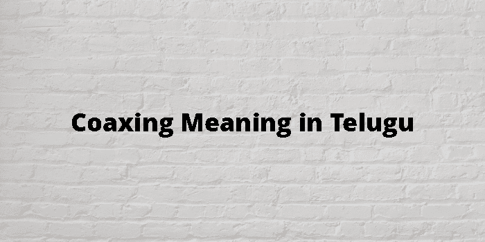 Coaxing Meaning In Telugu - తెలుగు అర్థం