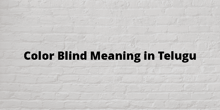 Color Blind Meaning In Telugu - తెలుగు అర్థం