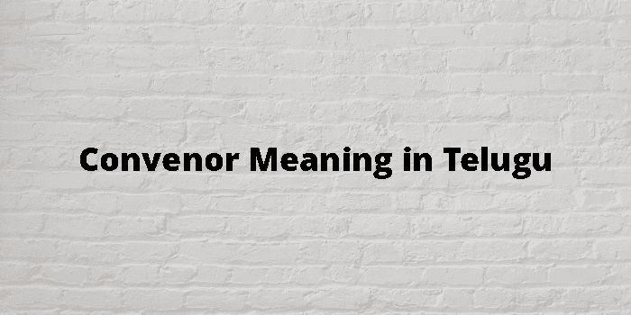 Convenor Meaning In Telugu - తెలుగు అర్థం