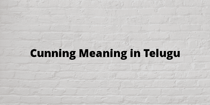 Cunning Meaning In Telugu - తెలుగు అర్థం