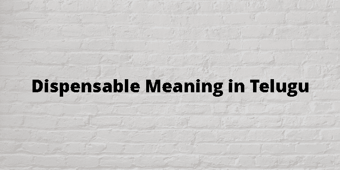 Dispensable Meaning In Telugu - తెలుగు అర్థం