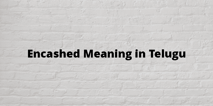 Encashed Meaning In Telugu - తెలుగు అర్థం