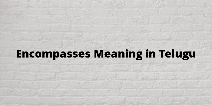 Encompasses Meaning In Telugu - తెలుగు అర్థం