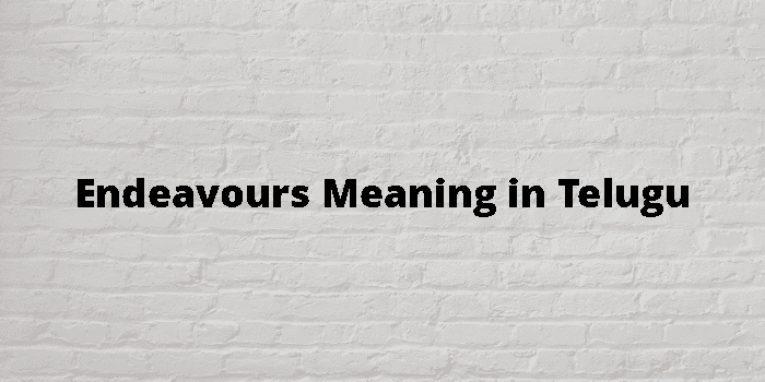 Endeavours Meaning In Telugu - తెలుగు అర్థం