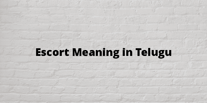 Escort Meaning In Telugu - తెలుగు అర్థం