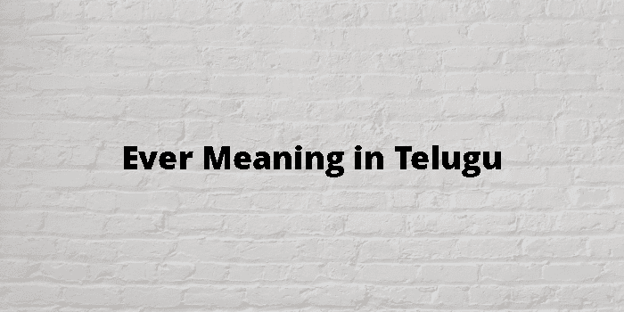 Ever Meaning In Telugu - తెలుగు అర్థం